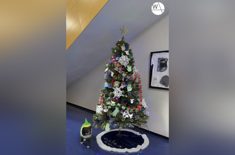 Wentzville Celebrates Unity with Trim-a-Tree Event as Police