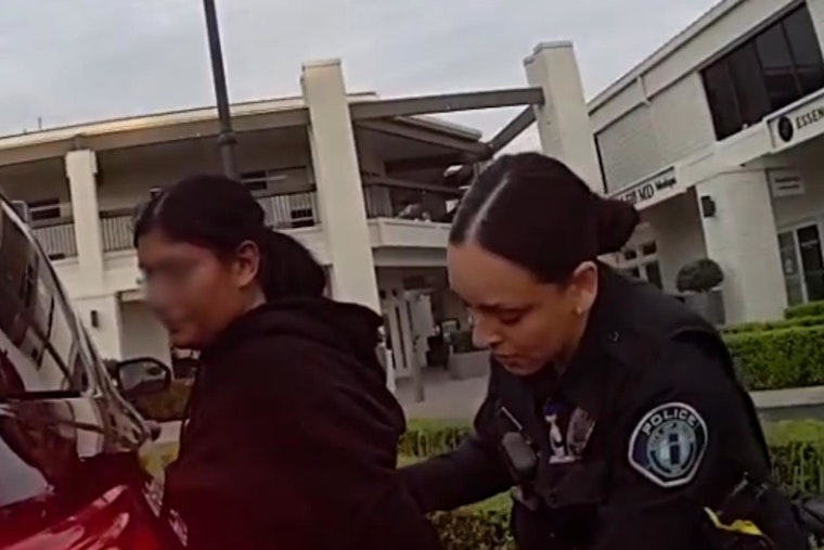 Woman Intervenes to Rescue Elderly Victim in Purse Snatching Incident