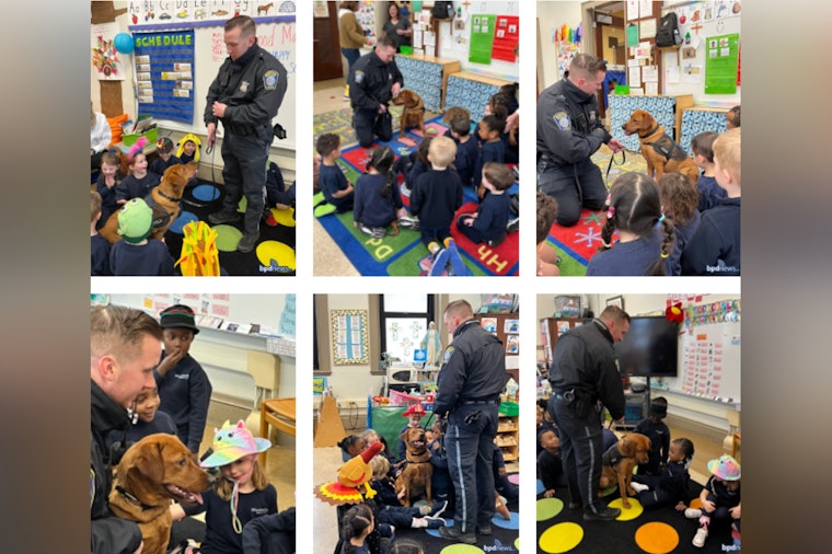 Boston's Comfort Dog Copper Delights Kindergarteners at Dorchester's