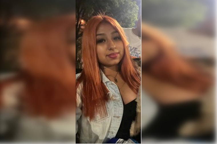 Chicago Police Seek Public's Help to Locate Missing Teen Solangie