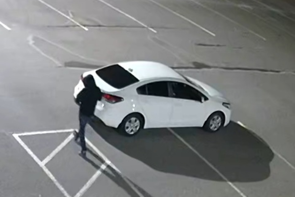 Clarksville Authorities Intensify Hunt for Vandal Targeting Local