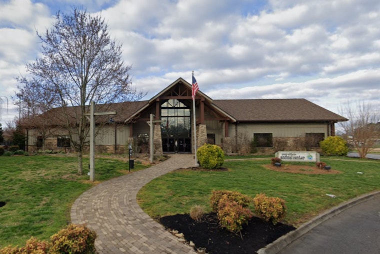 Knoxville Set for Festive Transformation with Market Street Pedestrian