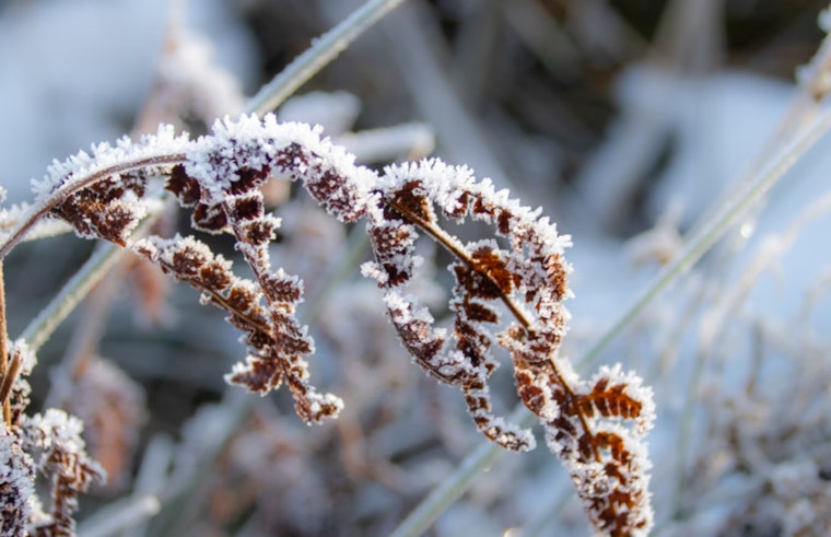 Multnomah County Closes Emergency Shelters As Weather Improves