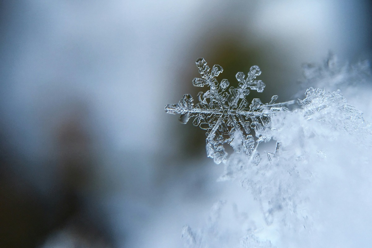 Portland and Vancouver Brace for Frost, Snow, and Ice as Cold Weather