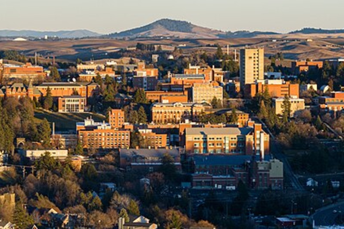 WSU College of Veterinary Medicine Ranks Fourth in National Research