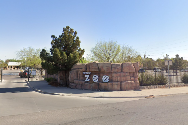 El Paso Zoo & Botanical Gardens Extends Hours for Spring Break,