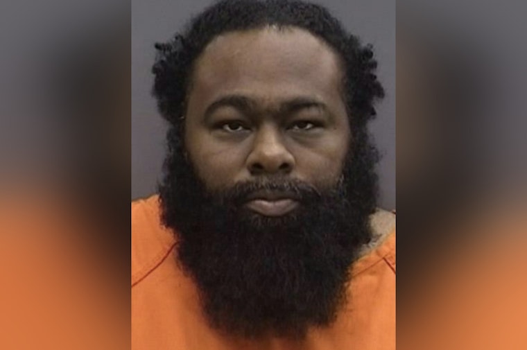 Hillsborough County Sting Operation Leads to Arrest of Suspect Rico