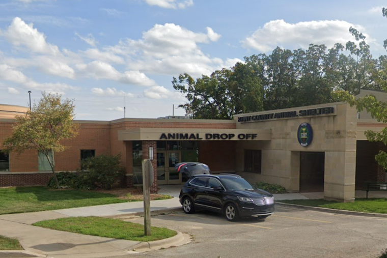 Kent County Animal Shelter Warns of Bogus Pet Surgery Scams After