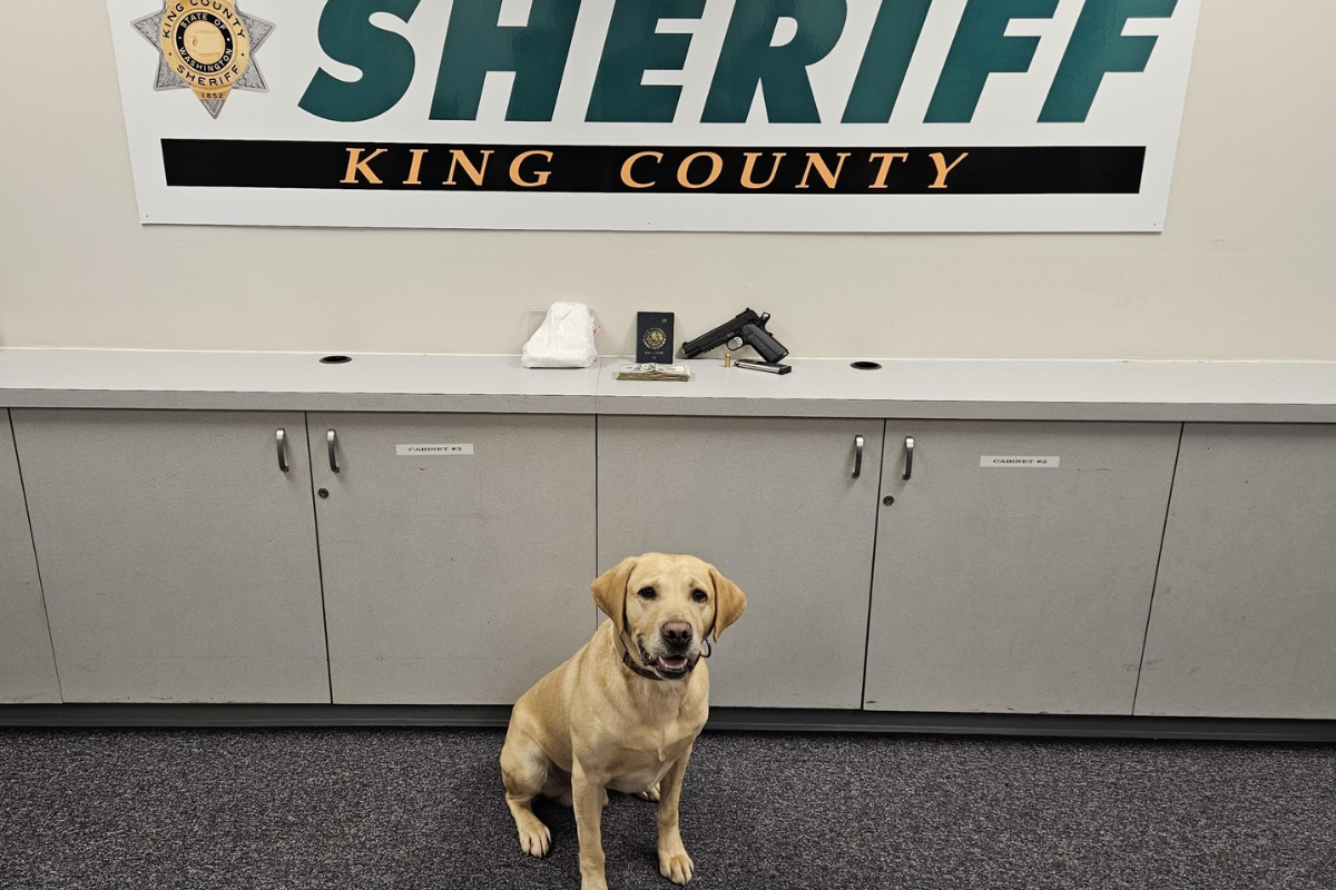 King County Sheriff's Office Busts Two Suspected Drug Traffickers,