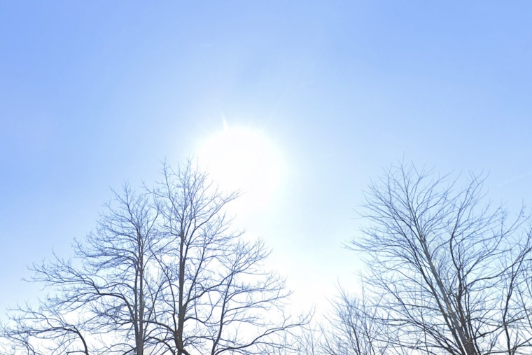 Knoxville Prepares for Mixed Weather with Sunny Skies, Elevated Fire