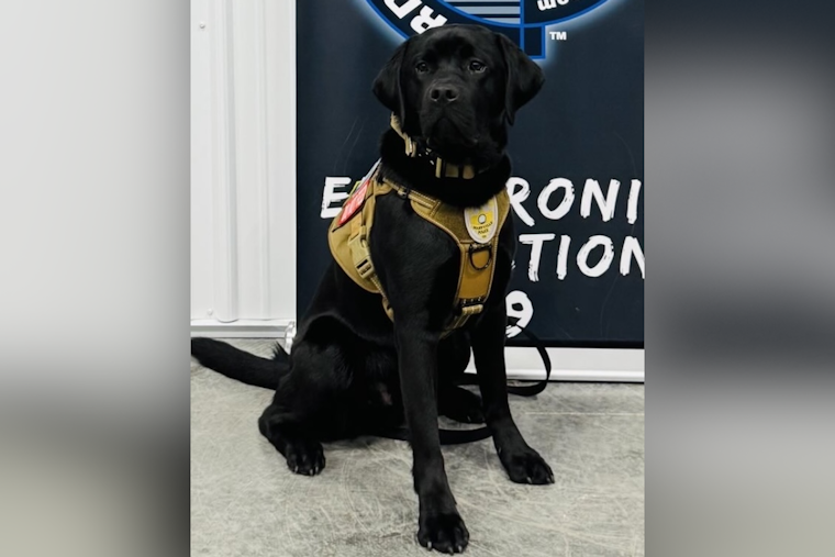 Maryville Police Department Boosts Crime-Fighting Arsenal with