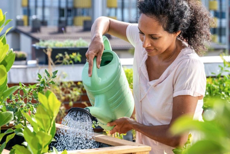 New Gardening Class in Spanish Blooms in Raleigh as Ready Garden Grow