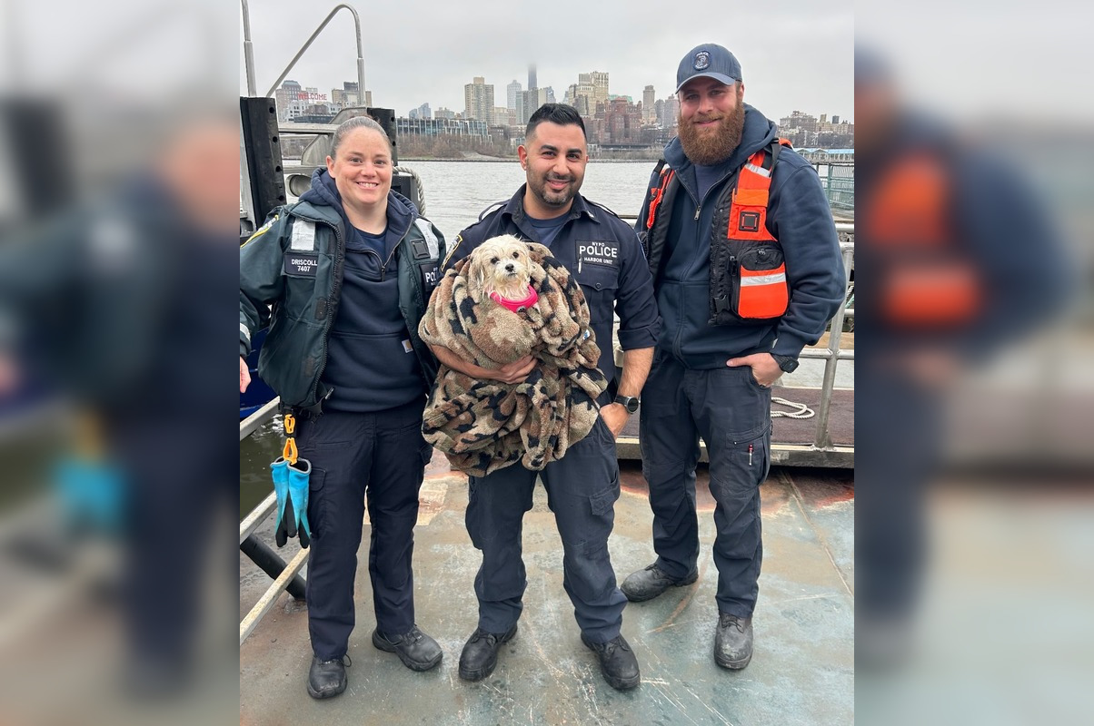 NYPD Harbor Unit Rescues Puppy from East River, Calls for Information