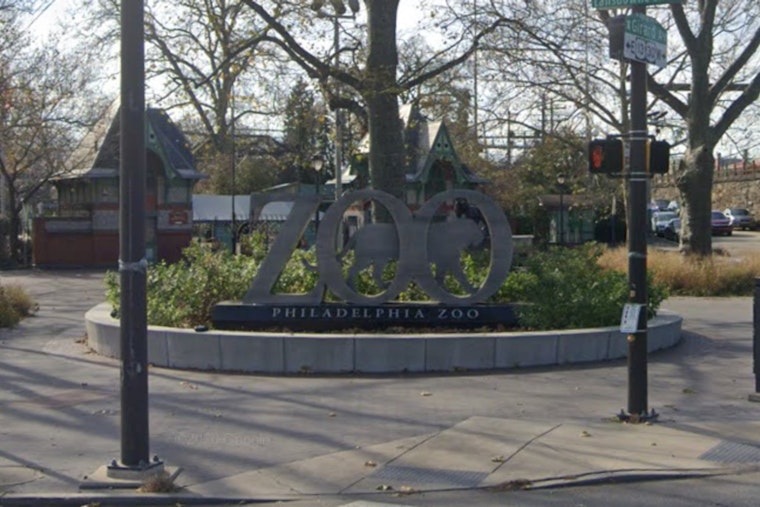 Philadelphia Zoo Unveils "Wildlife Rescue" Exhibit with Climable