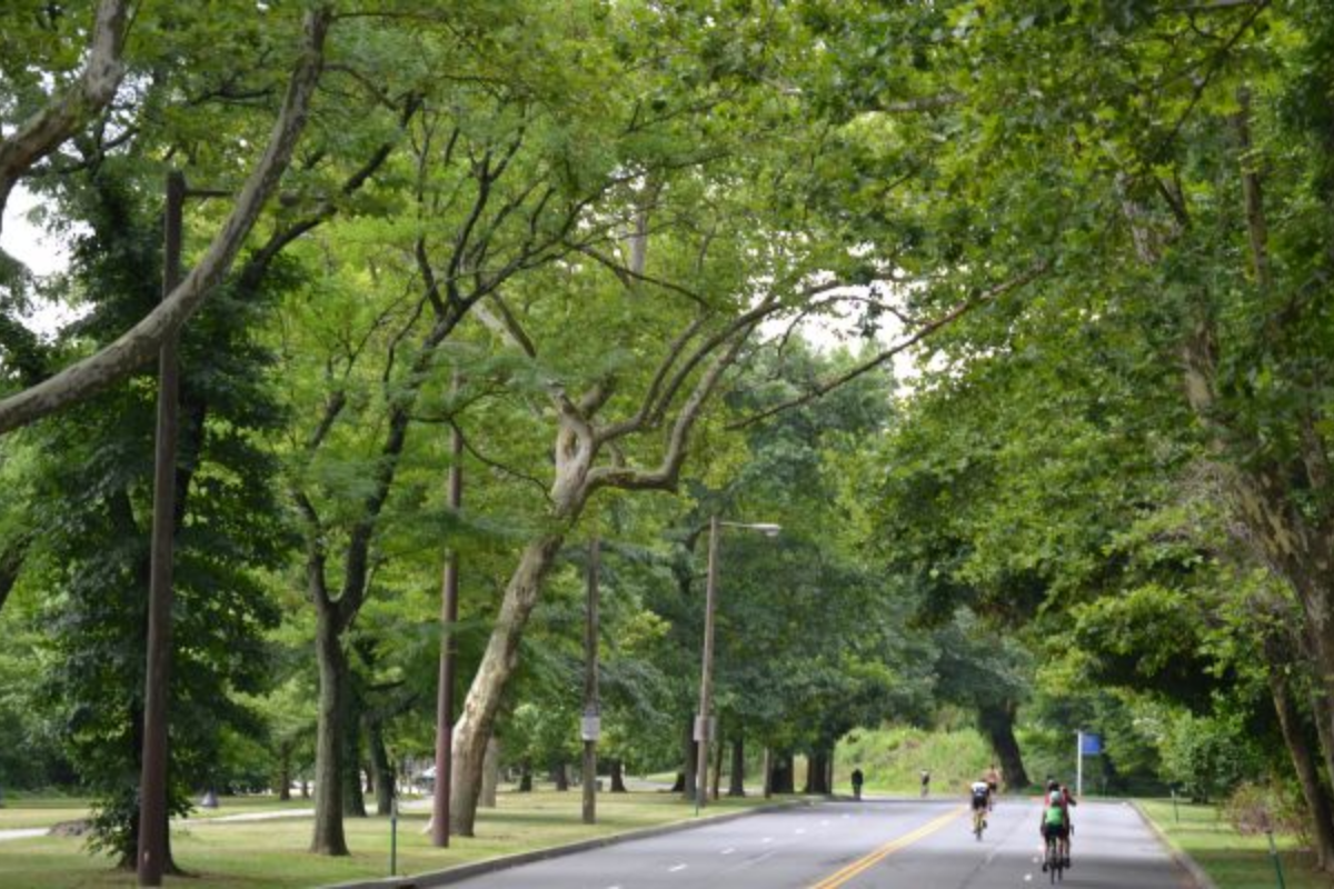 Philadelphia's MLK Drive Goes Car-Free for Weekend Recreation Starting