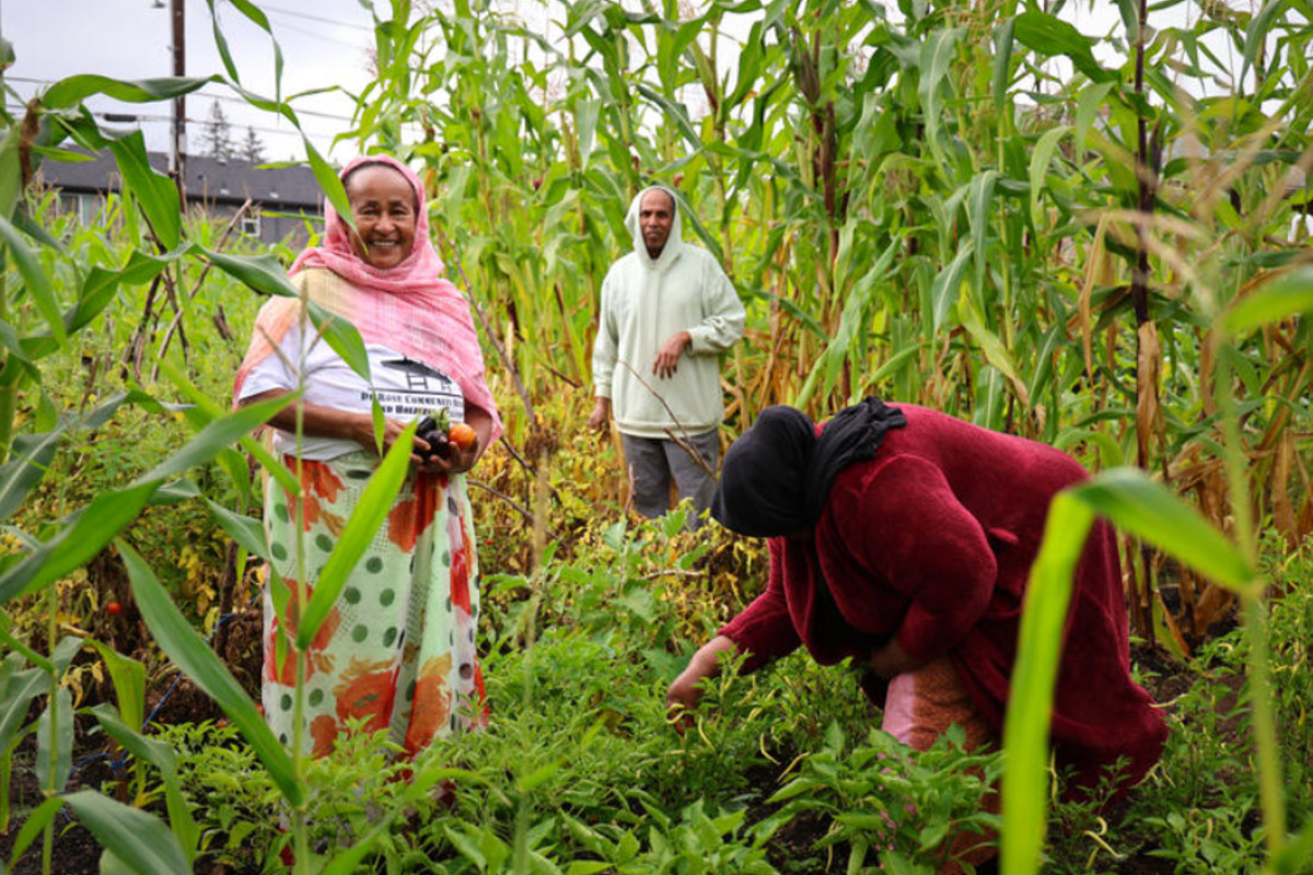 Portland's PCEF Announces $67 Million in Grants for Local Climate