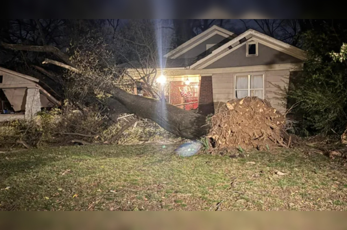 Powerful Winds Topple Trees, Damage Homes, and Injure Resident in