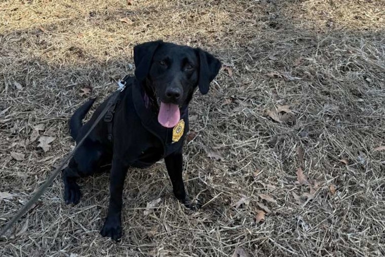 Raleigh Senior Citizen Found Safe by Police and K9 Unit After