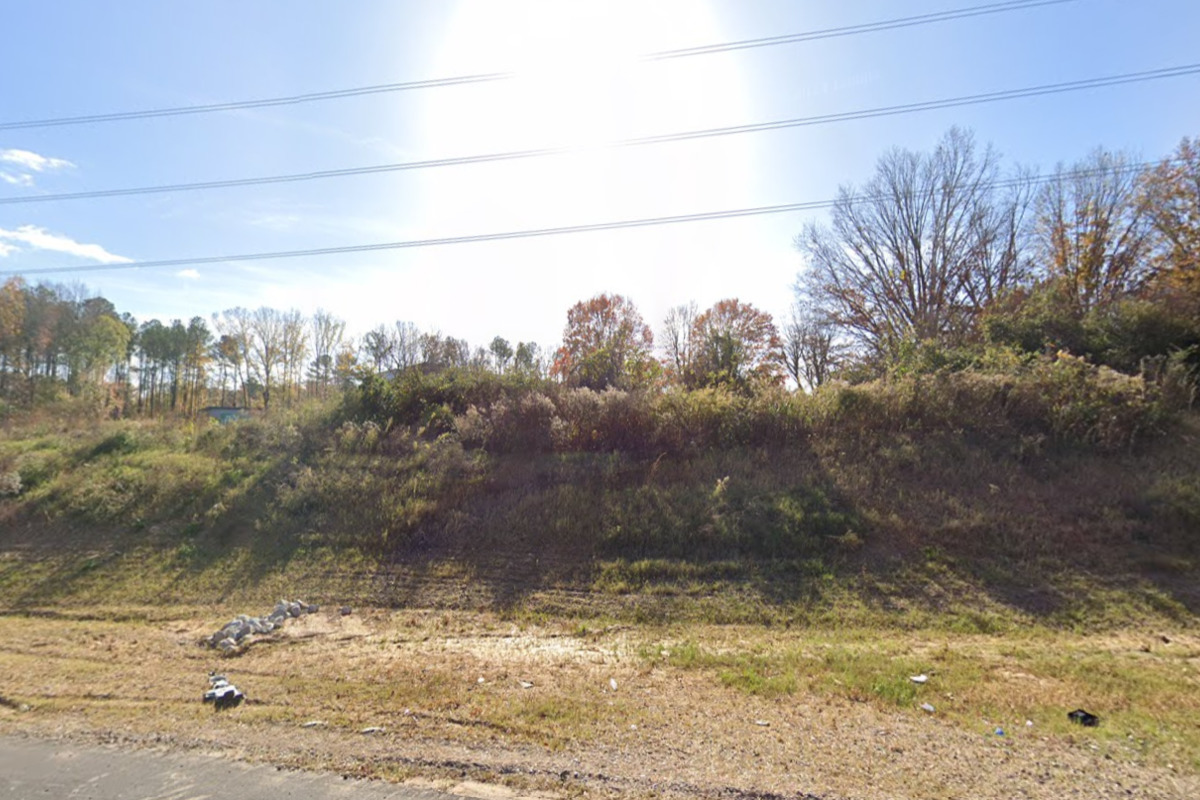 Raleigh to Enjoy Sunny Spring Days Before Showers Return, Says NWS