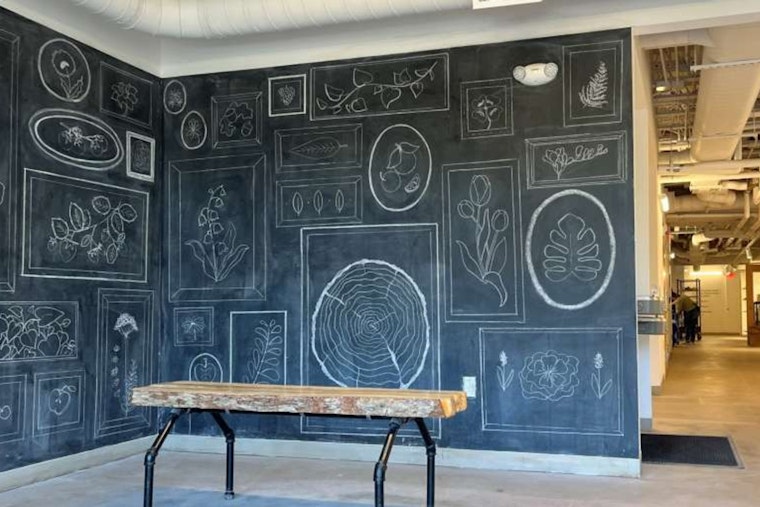 Raleigh's Pullen Arts Center Debuts New Chalk Mural by NC State Artist