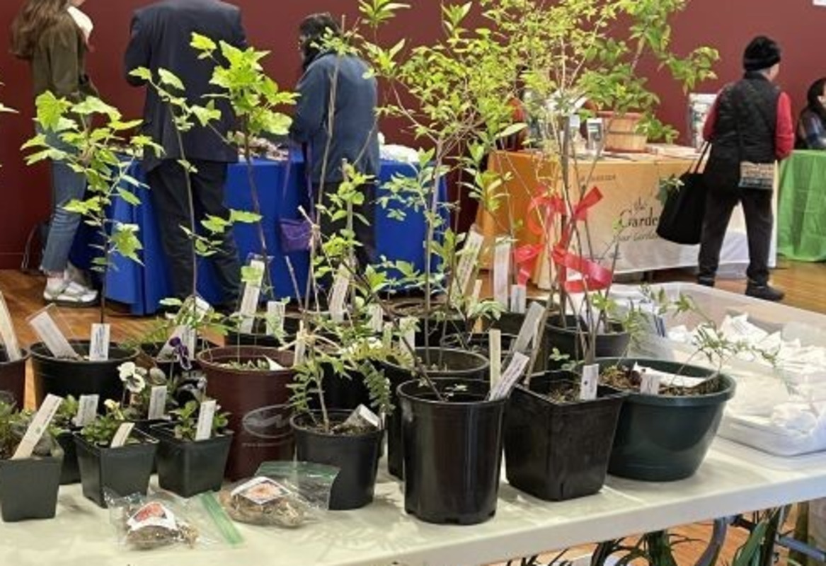 Seattle Embraces Earth Month with Array of Eco-Friendly Community