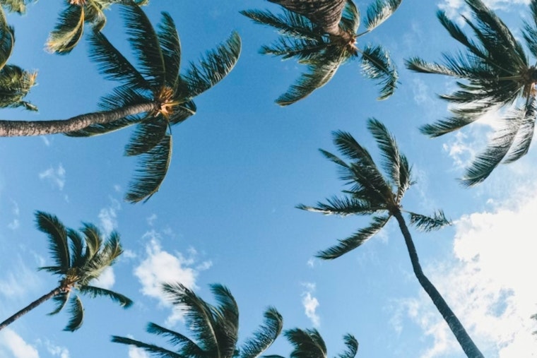 Warm, Windy Weather with Chances of Weekend Showers Expected in Miami