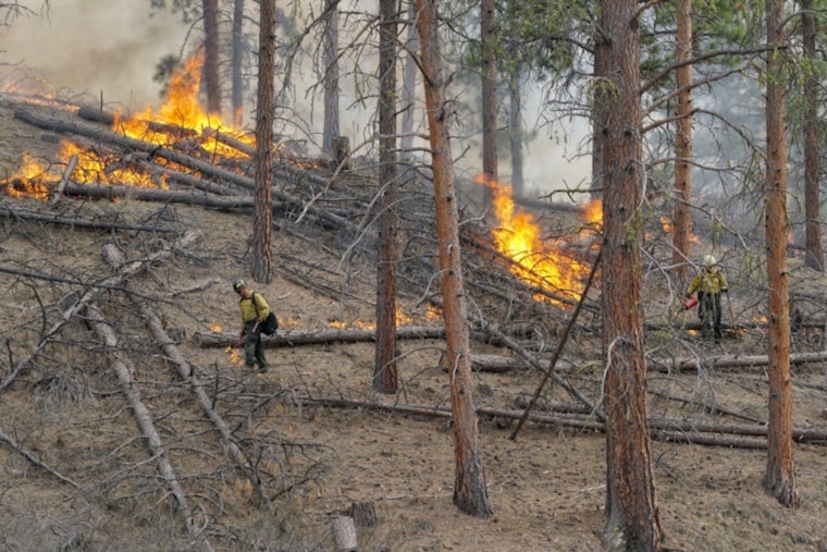 WDFW Sets Prescribed Burns in Pend Oreille and Ferry Counties to