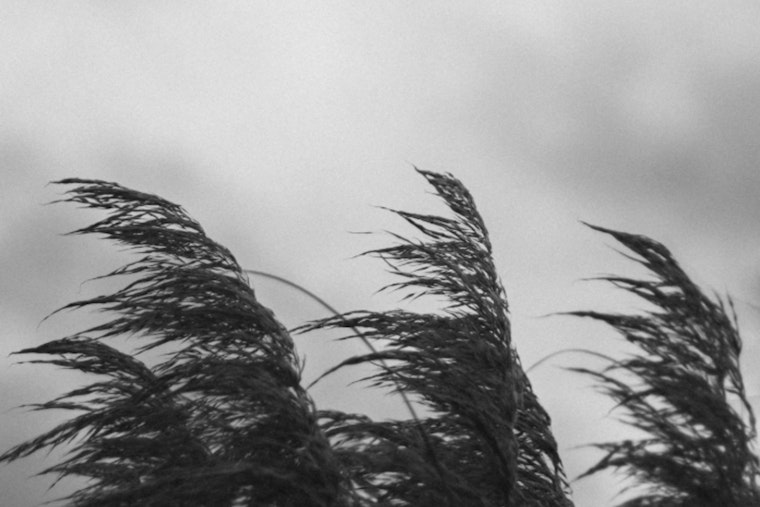 Wind Advisory Issued for Multiple Regions Including Memphis, Residents