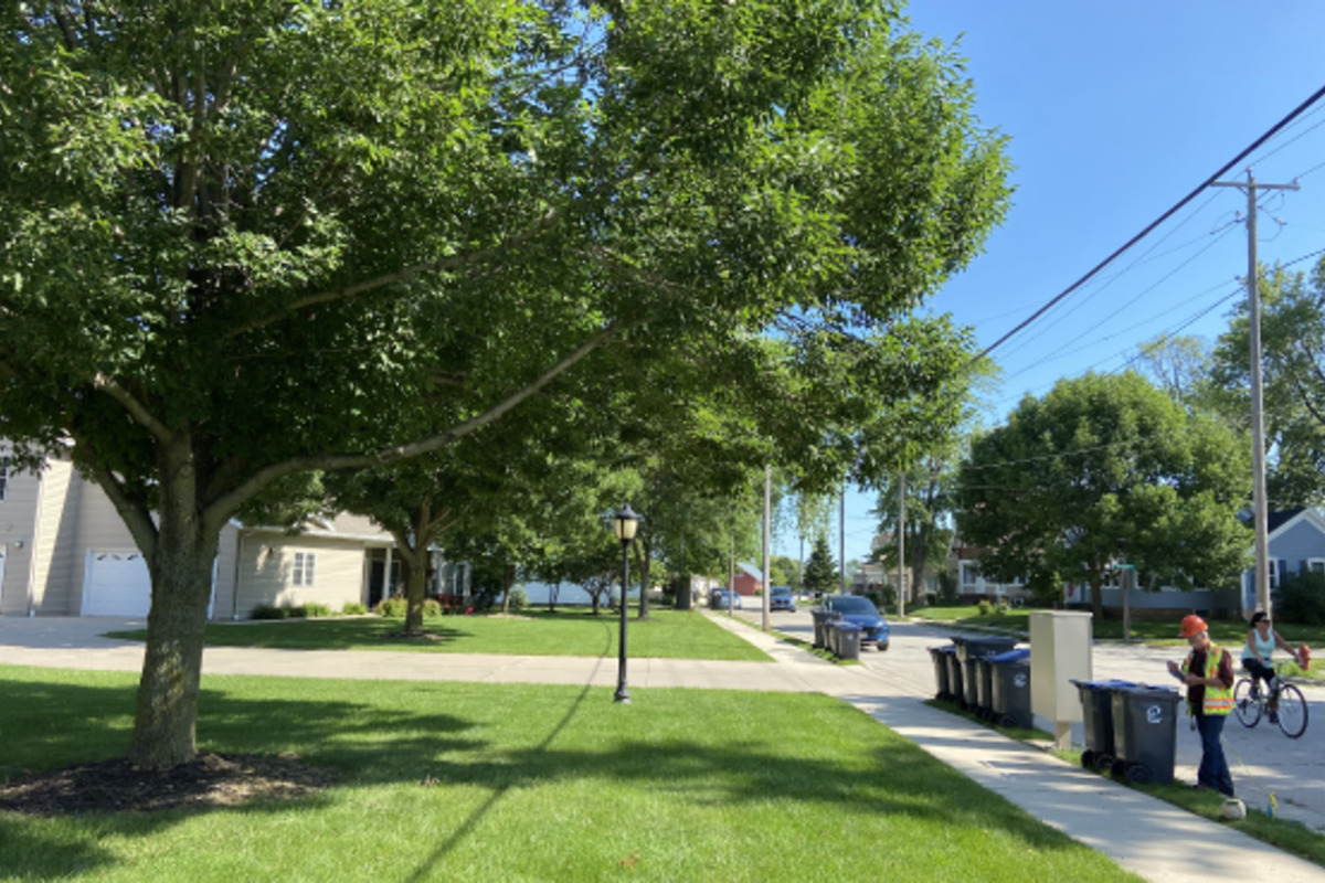 Wisconsin DNR Highlights Importance of Large Trees in Milwaukee and