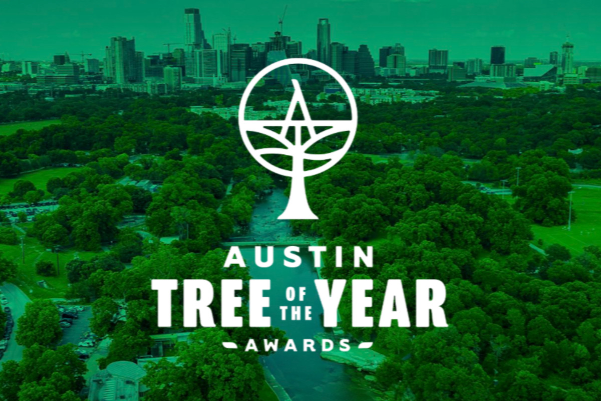 Austin Celebrates National Arbor Day with Revived Tree of the Year