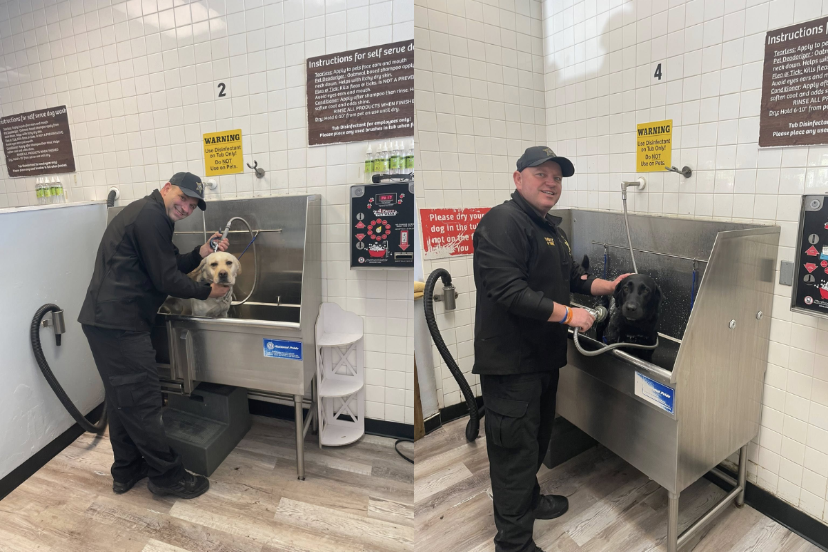 Butler County Sheriff's K-9 Unit: Heroes in Harness and High Spirits