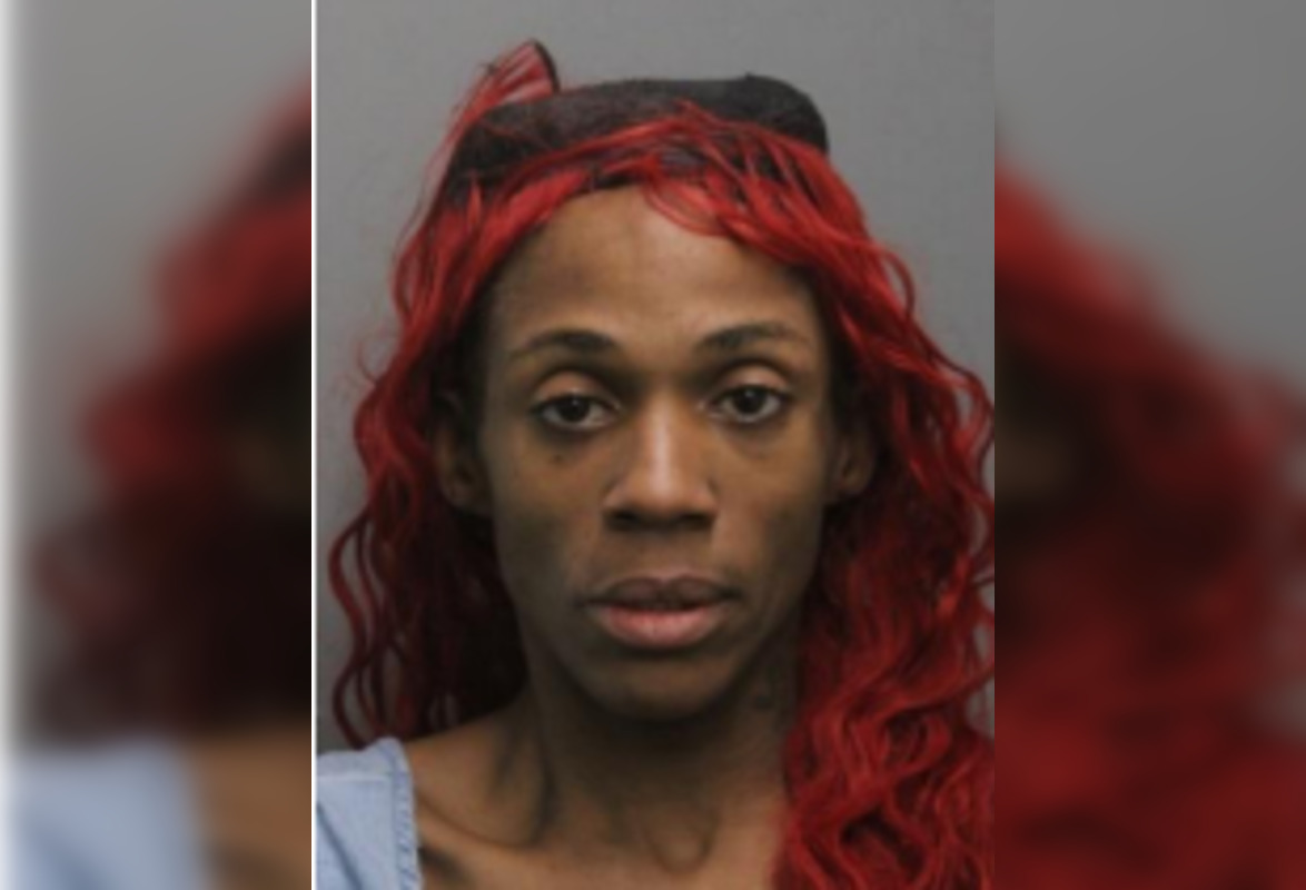 Chicago Woman Charged with First-Degree Murder and Attempted Arson in