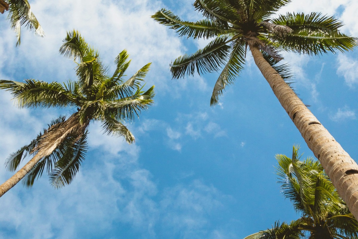 Clear Skies and Rising Temperatures to Hit 101 Degrees Friday