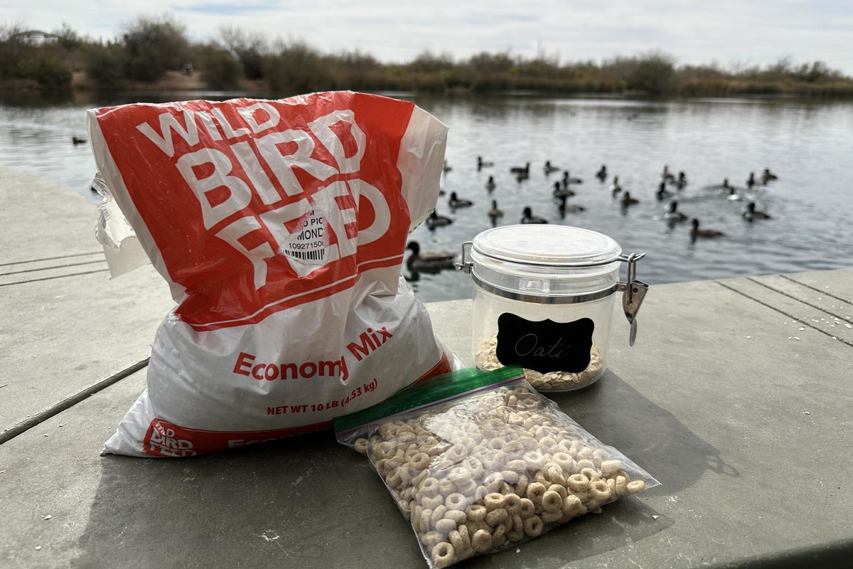 Gilbert's Riparian Preserve Encourages Responsible Wildlife