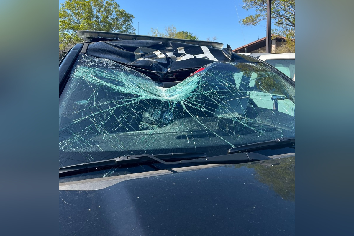 High-Speed Chase Ends in Arrest of Teen Suspects for Car Burglary and