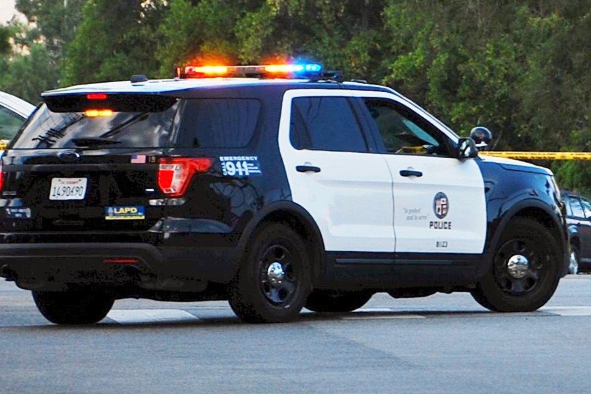 LAPD Seeks Public's Help Identifying Suspect in Westlake Hit-and-Run,