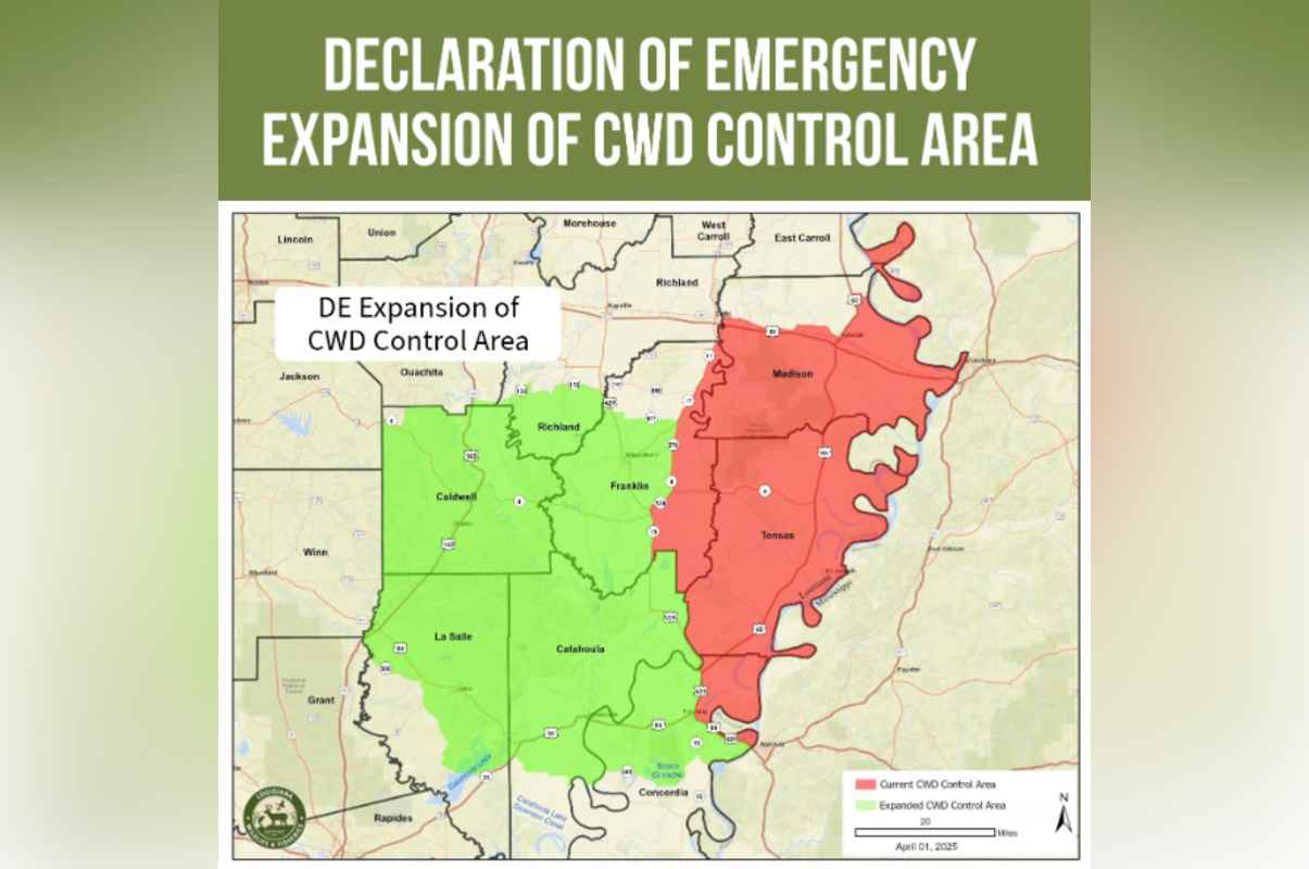 Louisiana Expands CWD Control Zone, New Restrictions in Place for