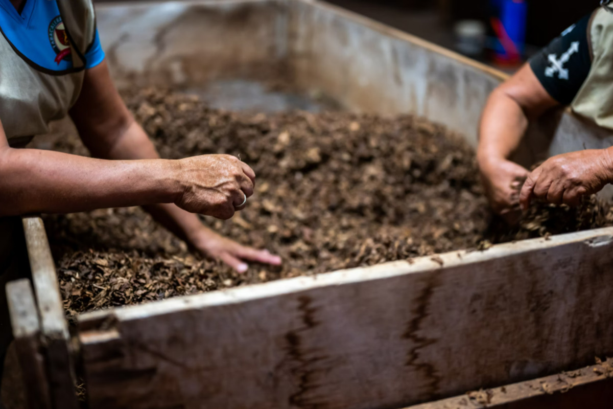 NYC Springs into Composting with Free Compost in Queens, Kitchen Bins