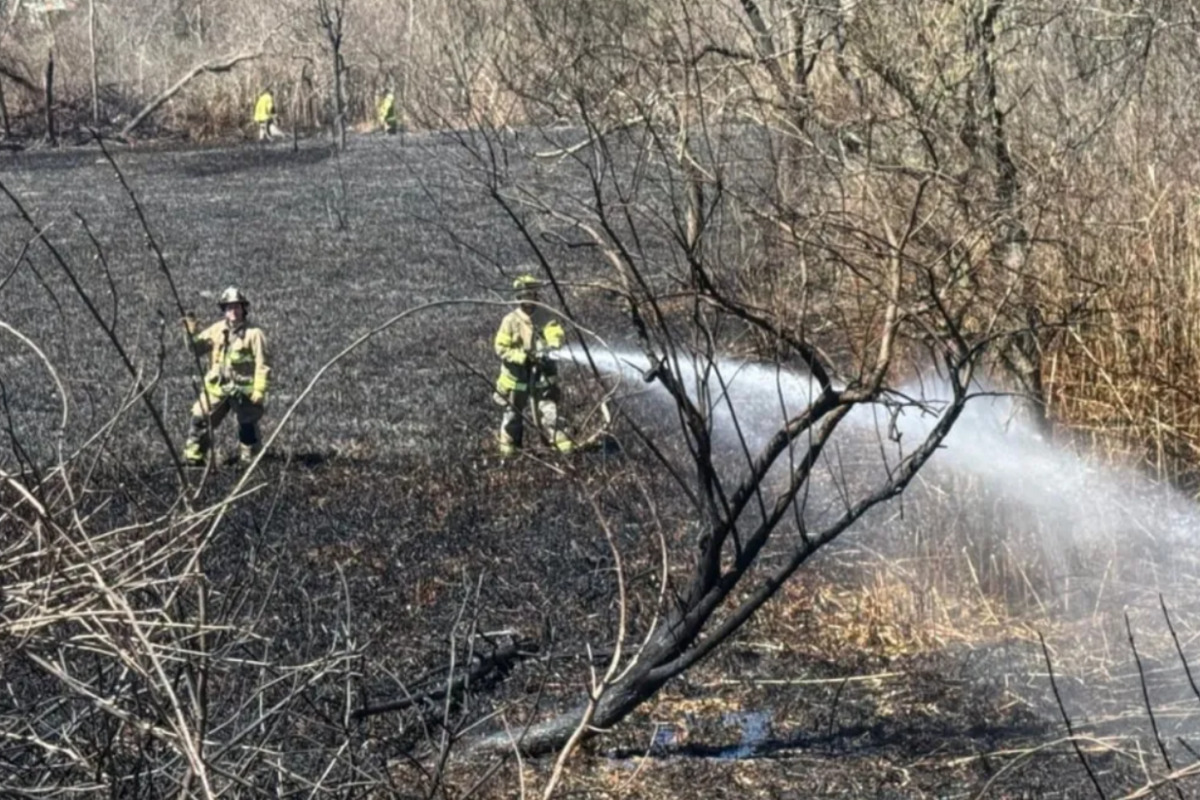 Newburyport and Regional Fire Crews Unite to Tame Brush Fire
