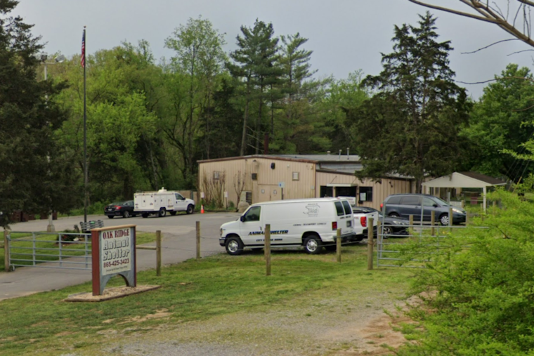 Oak Ridge Animal Shelter Temporarily Closes Doors Amid Canine