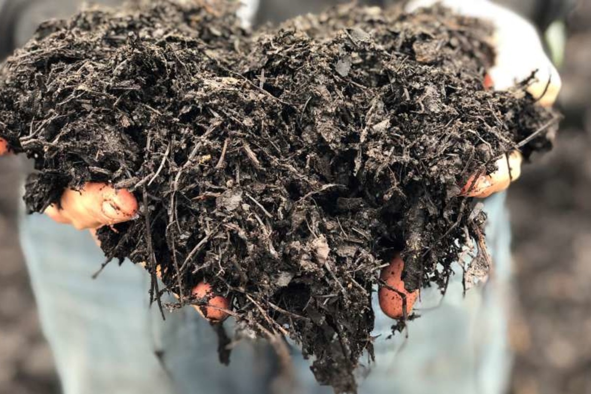 Raleigh's Yard Waste Center Offers Mulching Tips and Heads-Up on Busy