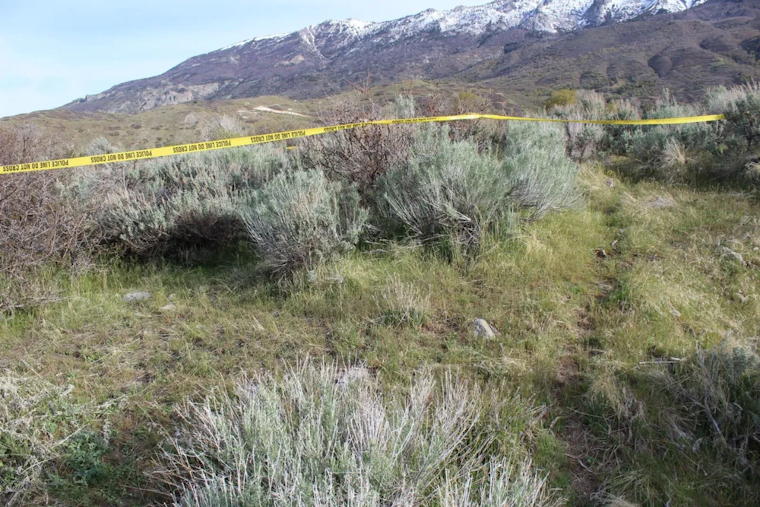 Remains Found in Lambert Park Identified as Missing Alpine Woman