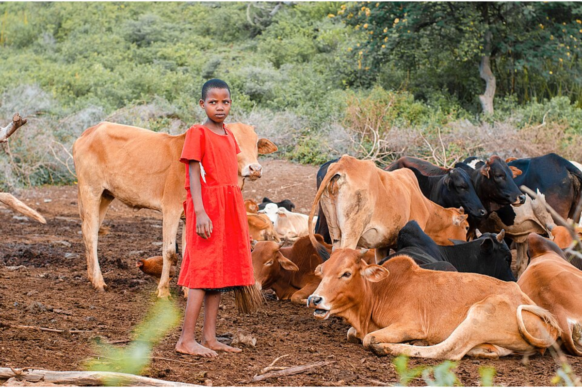 University of Cincinnati's Village Life Project Fosters Global