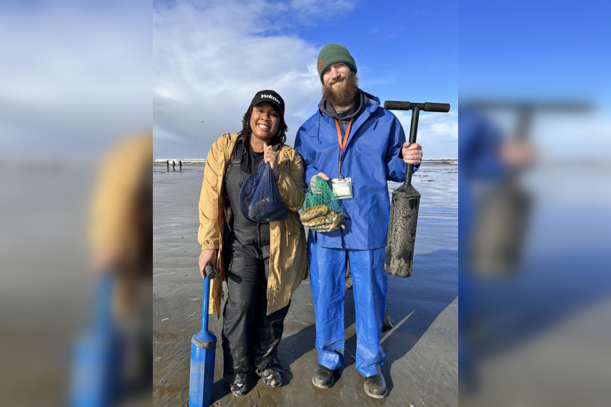 Washington's Razor Clam Digs Kick Off April 26, WDFW Urges Safety and