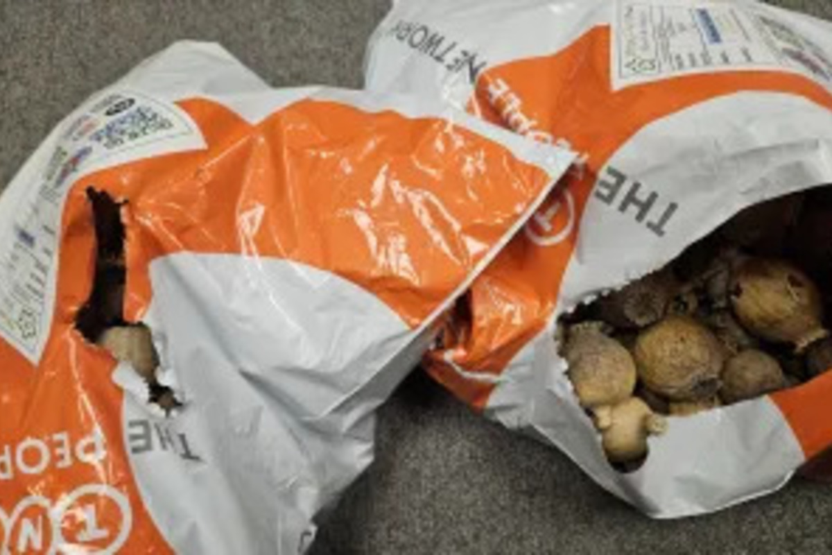 Philadelphia Customs Seize Nearly 300 Pounds of Opium Poppy Pods from
