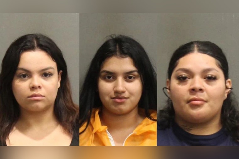 Nashville Police Arrest Three Teens on Multiple Charges After Aerial