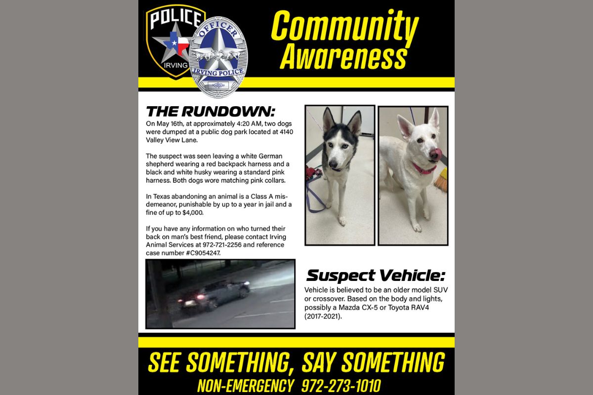 Irving Police Seek Assistance to Identify Suspect in Dog Abandonment