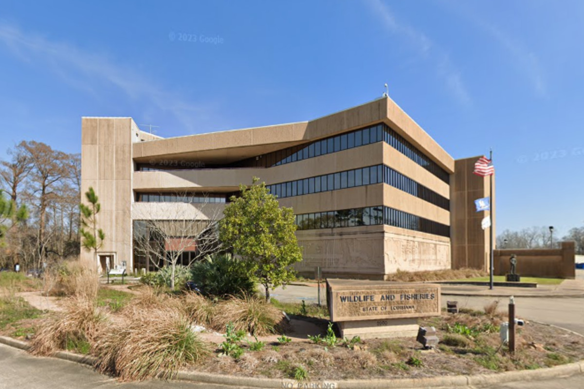 LDWF Opens Bidding for Alligator Hunting Tags for 2025-2027 Seasons