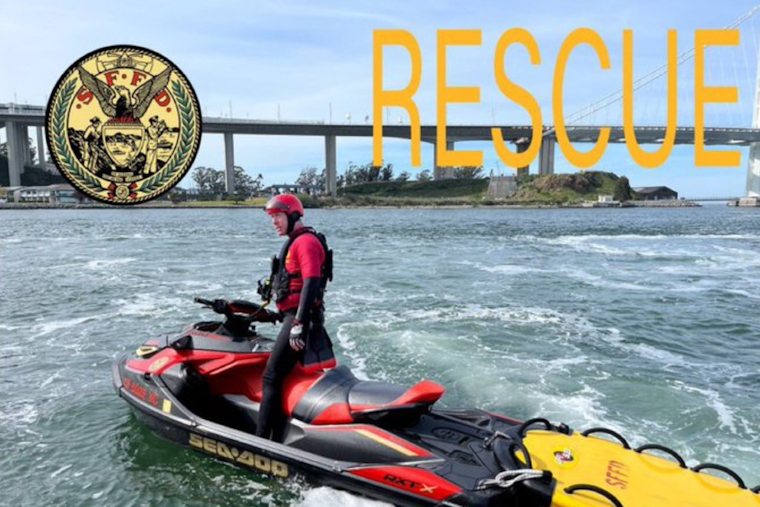 Man Dies in Heroic Attempt to Rescue Dog at Ocean Beach, San Francisco
