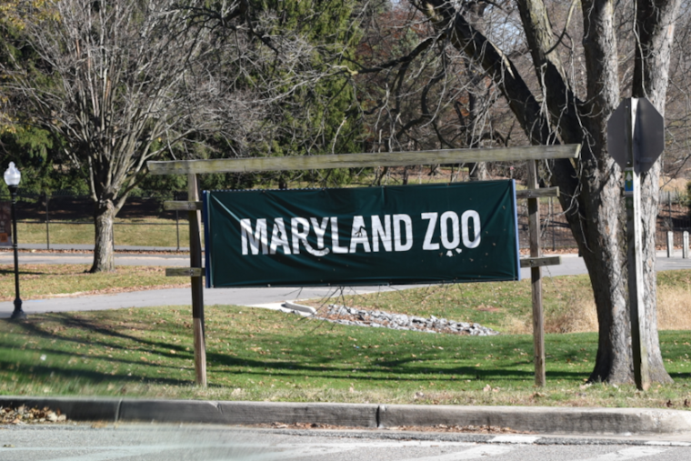 Maryland Zoo's Newest Giraffe 'Titali' Named in Donor Contest,